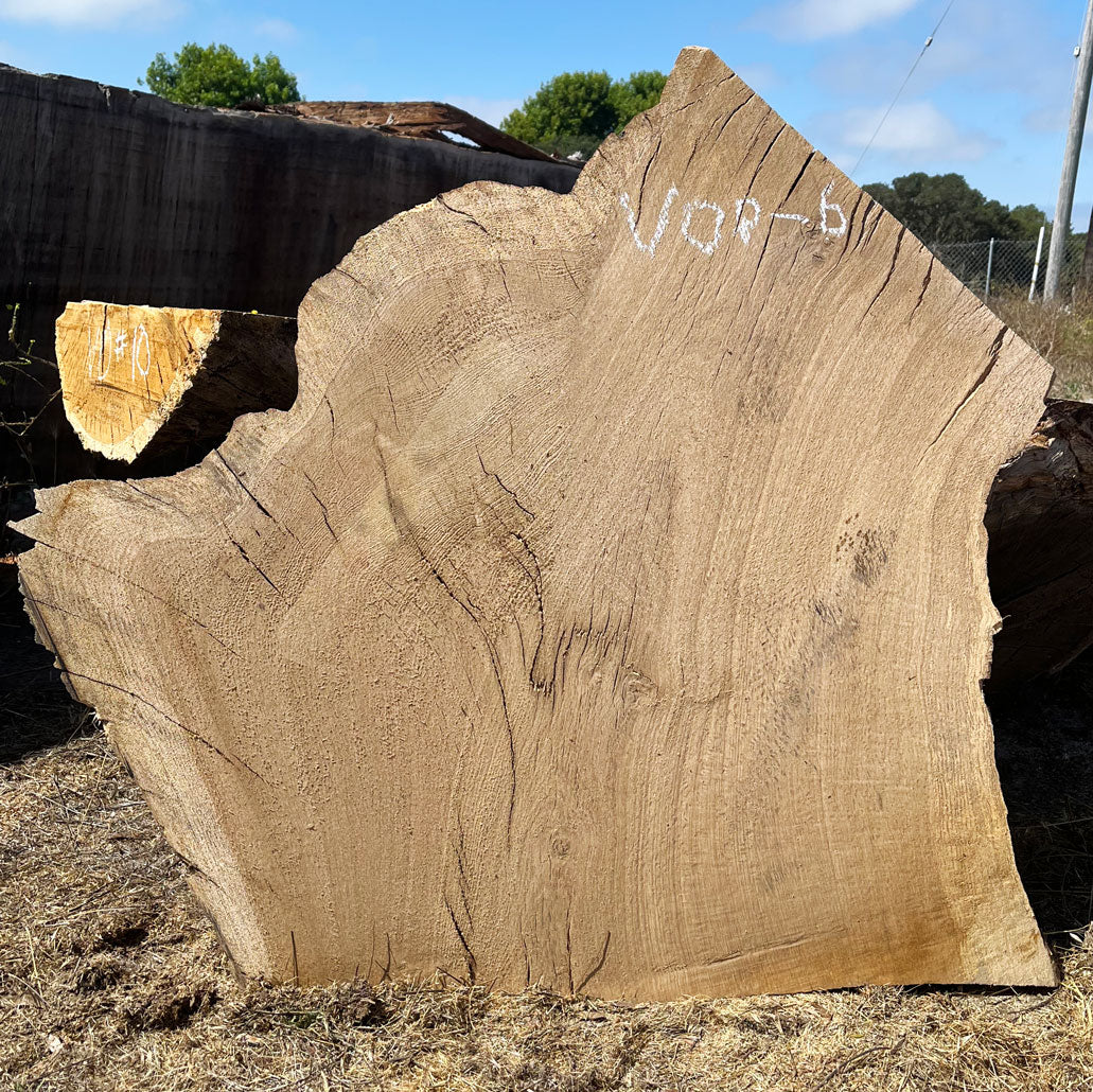 Heritage Valley Oak Live Edge Cookie / Round – 33" x 27" x 2.25" – Old ...